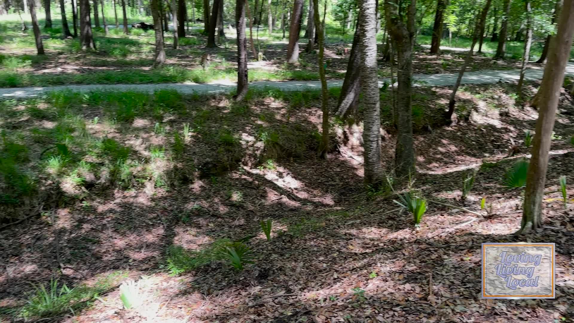 Fort Fair Lawn – WCBD News 2