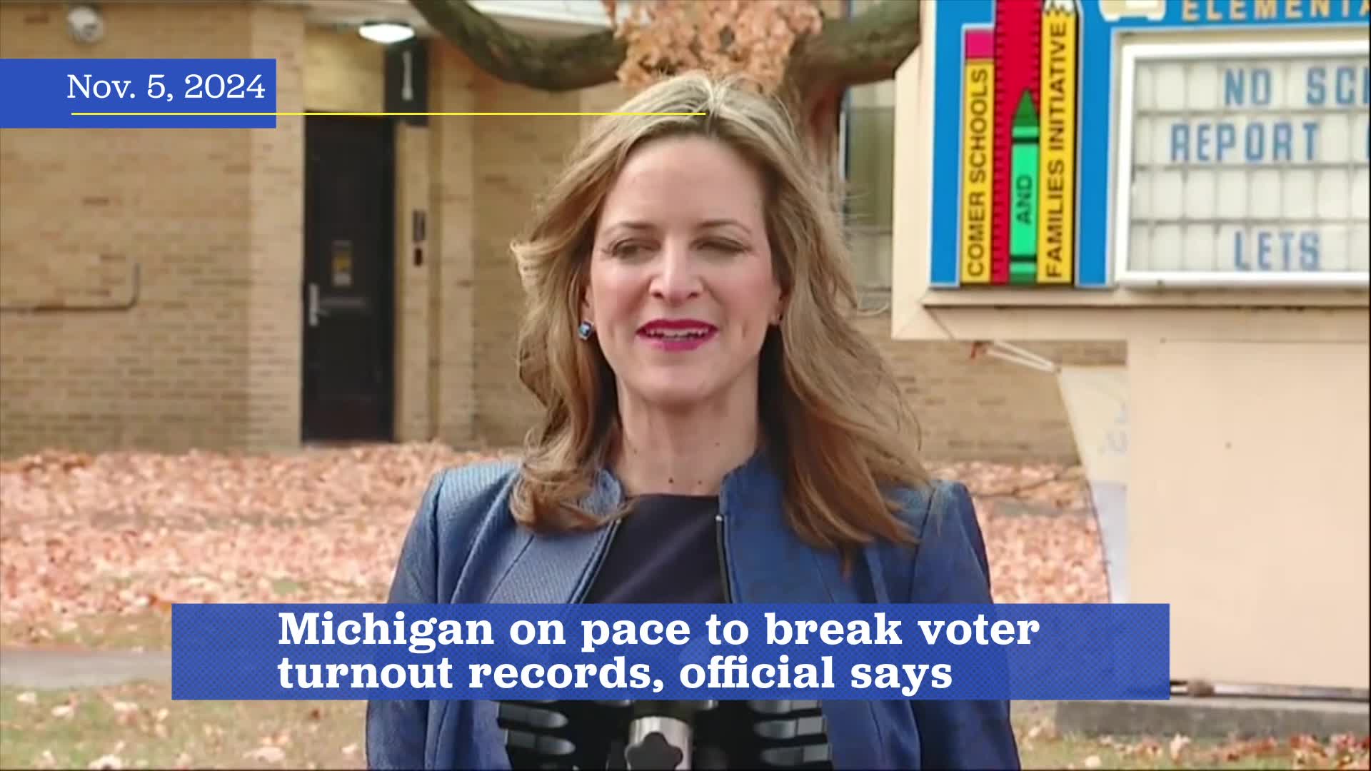 Michigan on pace to break voter turnout records, official says – The Hill