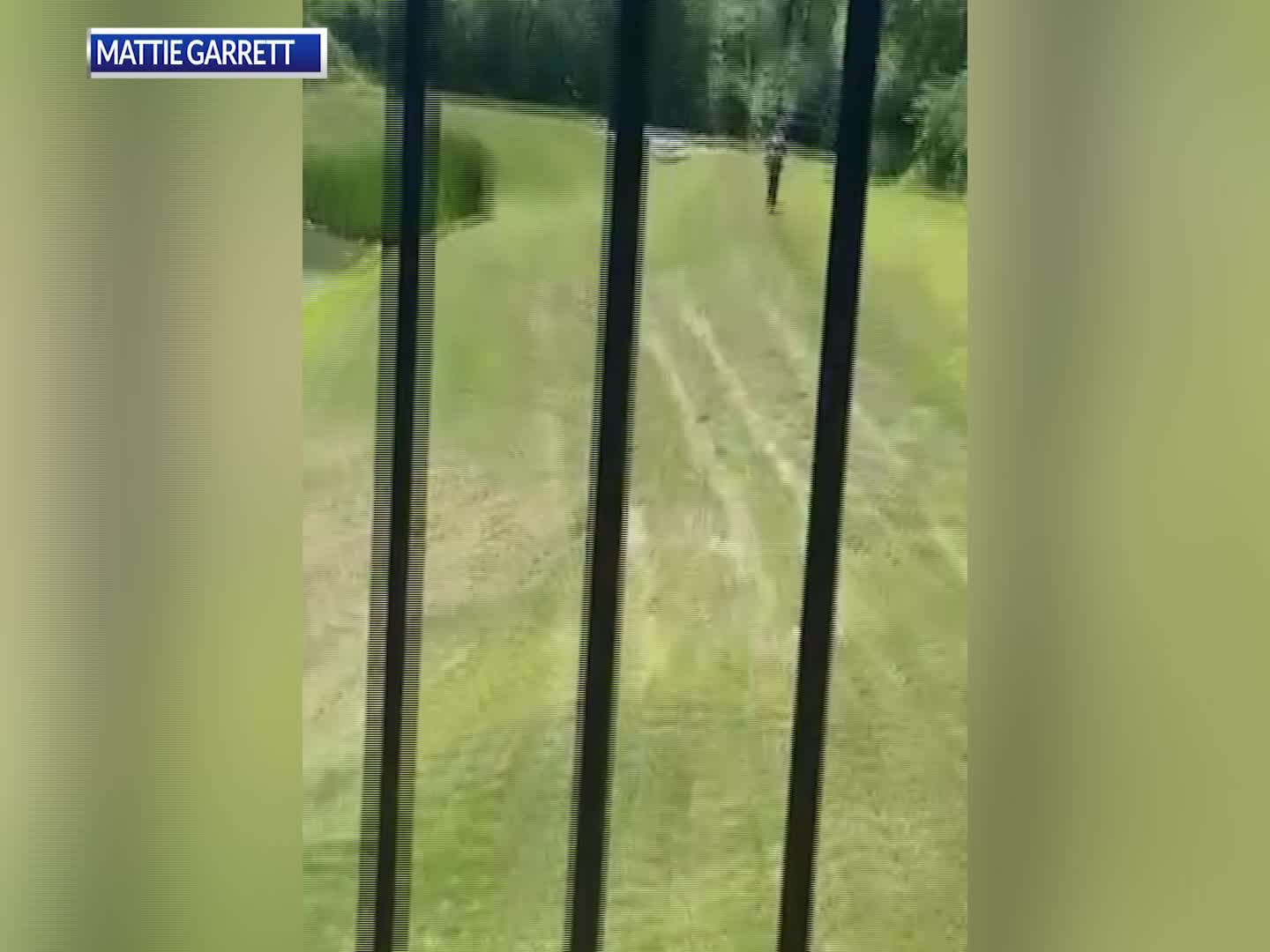 Witness spots sex offender who escaped custody on kidnapping charges ...