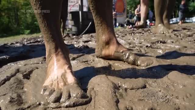 Football tournament celebrates 50 years of messy fun – WGN Radio 720 ...