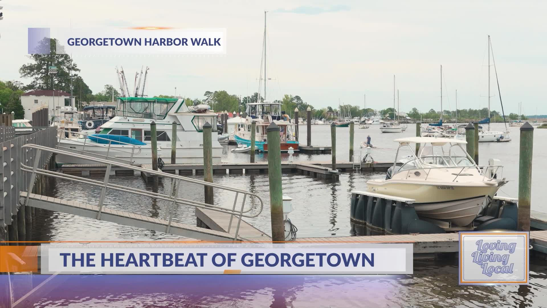 Georgetown Harborwalk – WCBD News 2