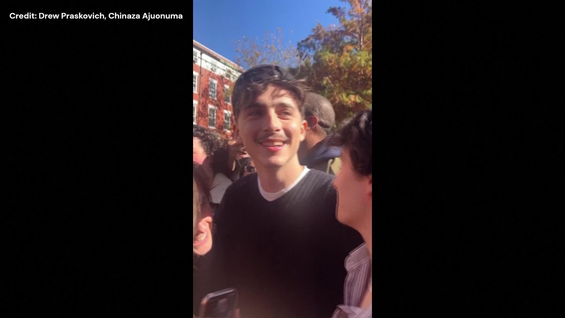 Timothée Chalamet crashes his own look-alike contest – WGN-TV