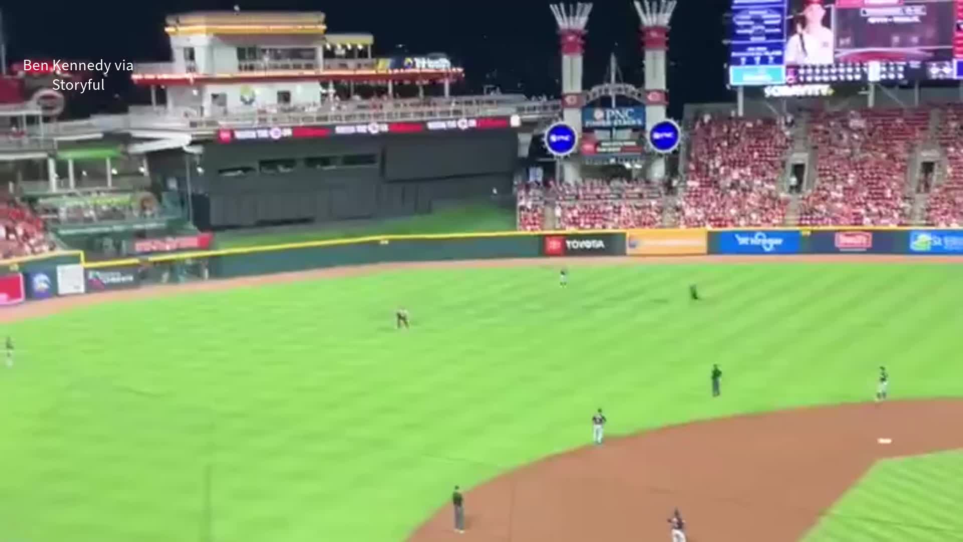 WATCH: Person gets tased during Cincinnati Reds game – WANE 15