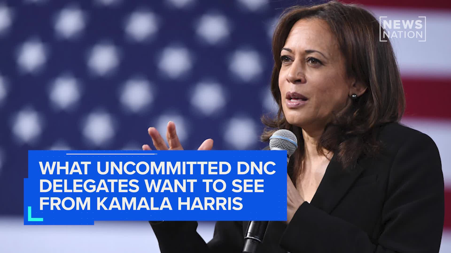 What uncommitted DNC delegates want to see from Kamala Harris ...