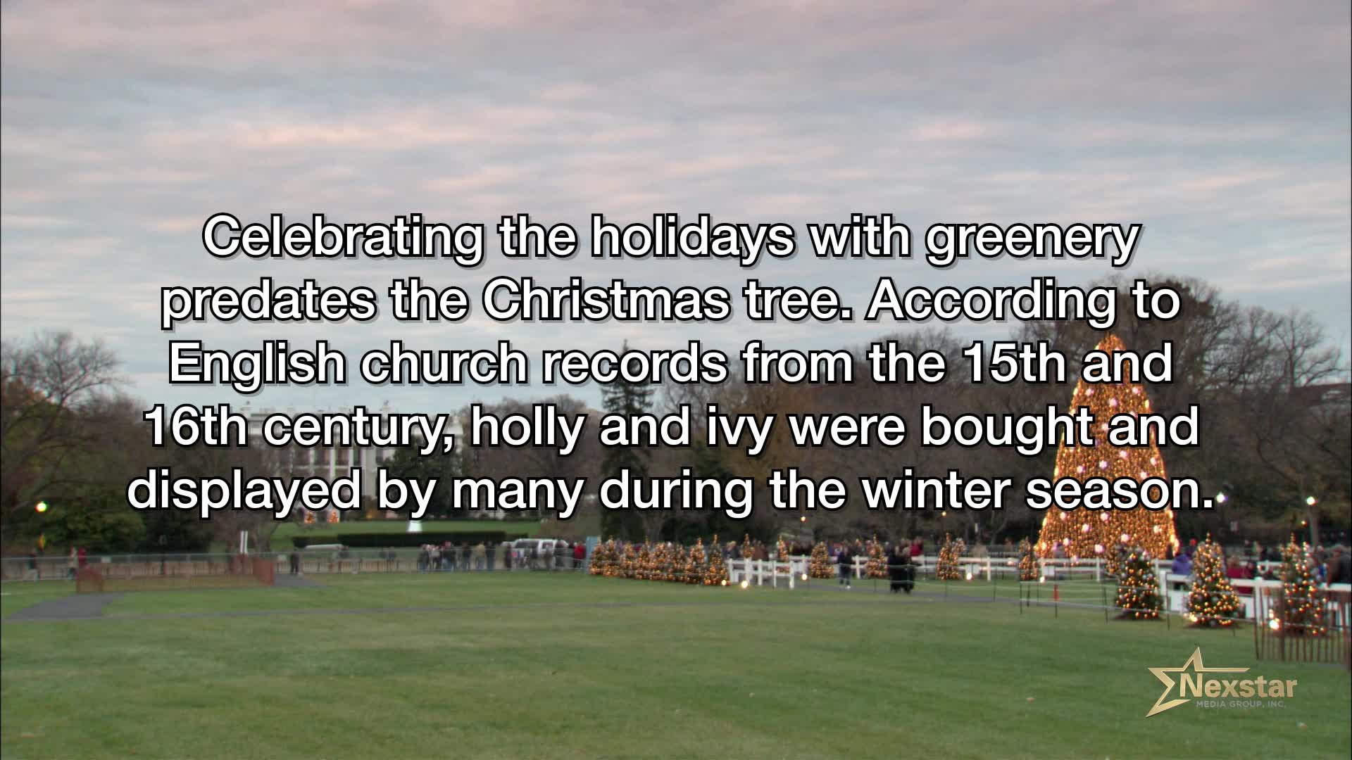 History of the Christmas Tree – WANE 15