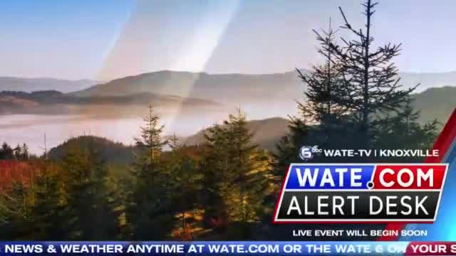 Ask Isaacs: Will Hunter Biden get jail time? Lawyer explains – WATE 6 ...