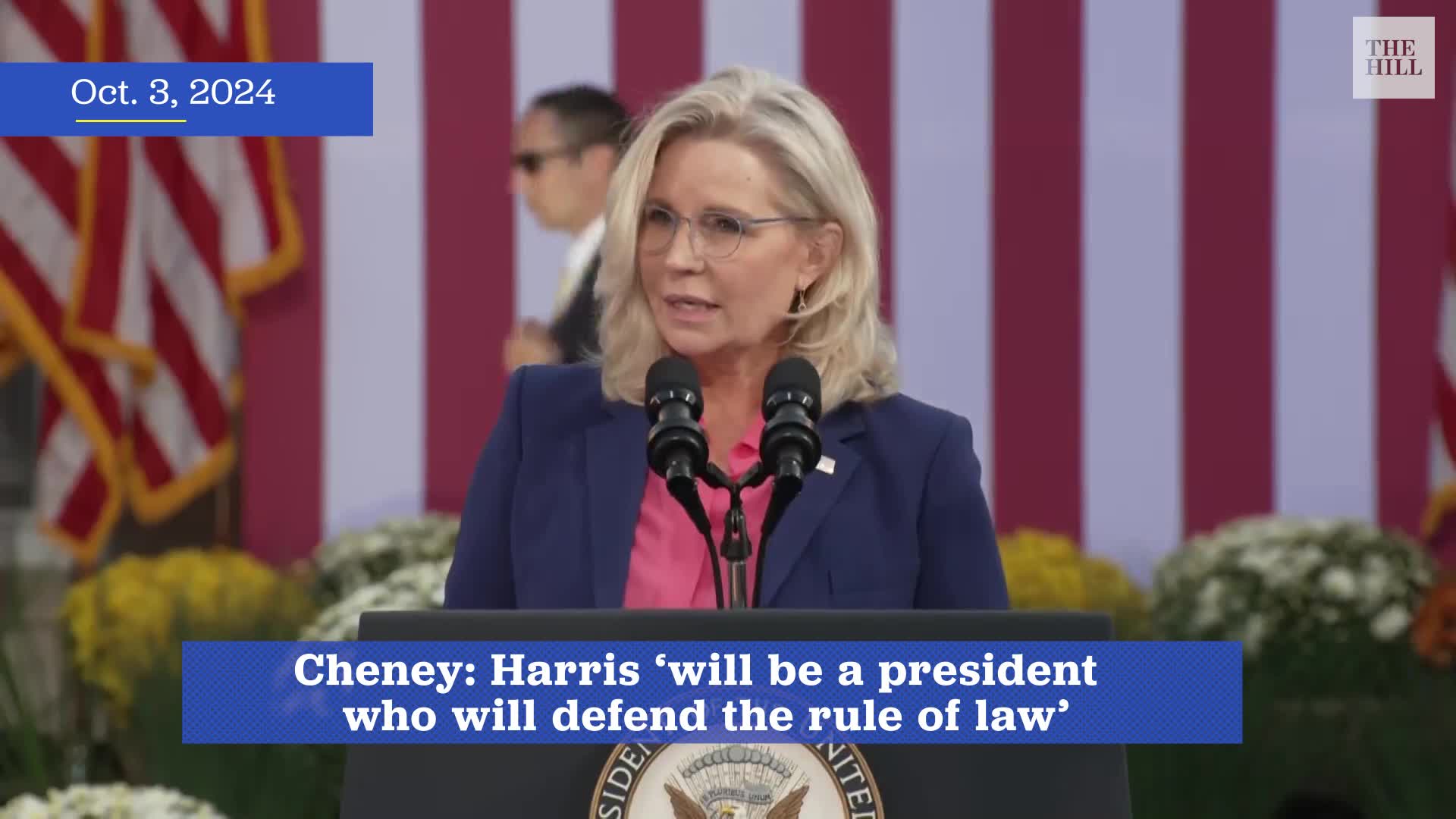 Liz Cheney makes case for Harris in Wisconsin – The Hill