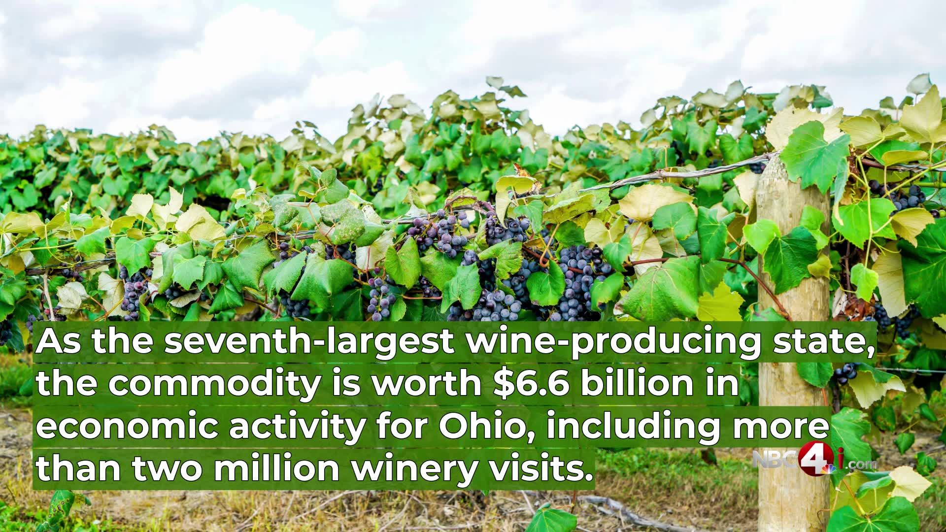 Ways to celebrate Ohio Wine Month in June – NBC4 WCMH-TV