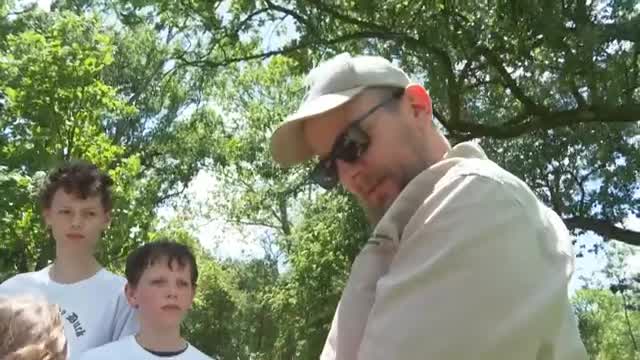 Think cicadas are weird? Check out superfans, who eat the bugs, use ...
