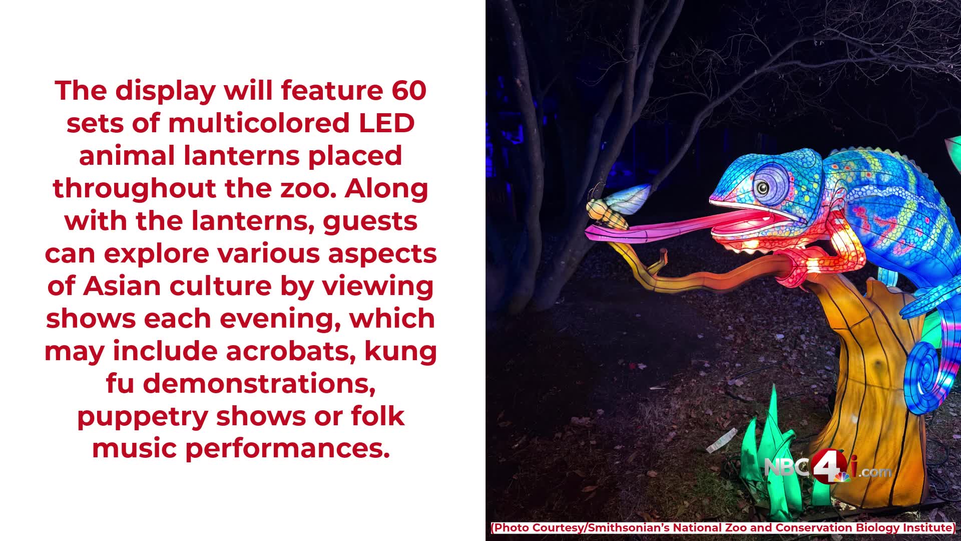 Columbus Zoo holding first ever lantern festival featuring LED animal ...